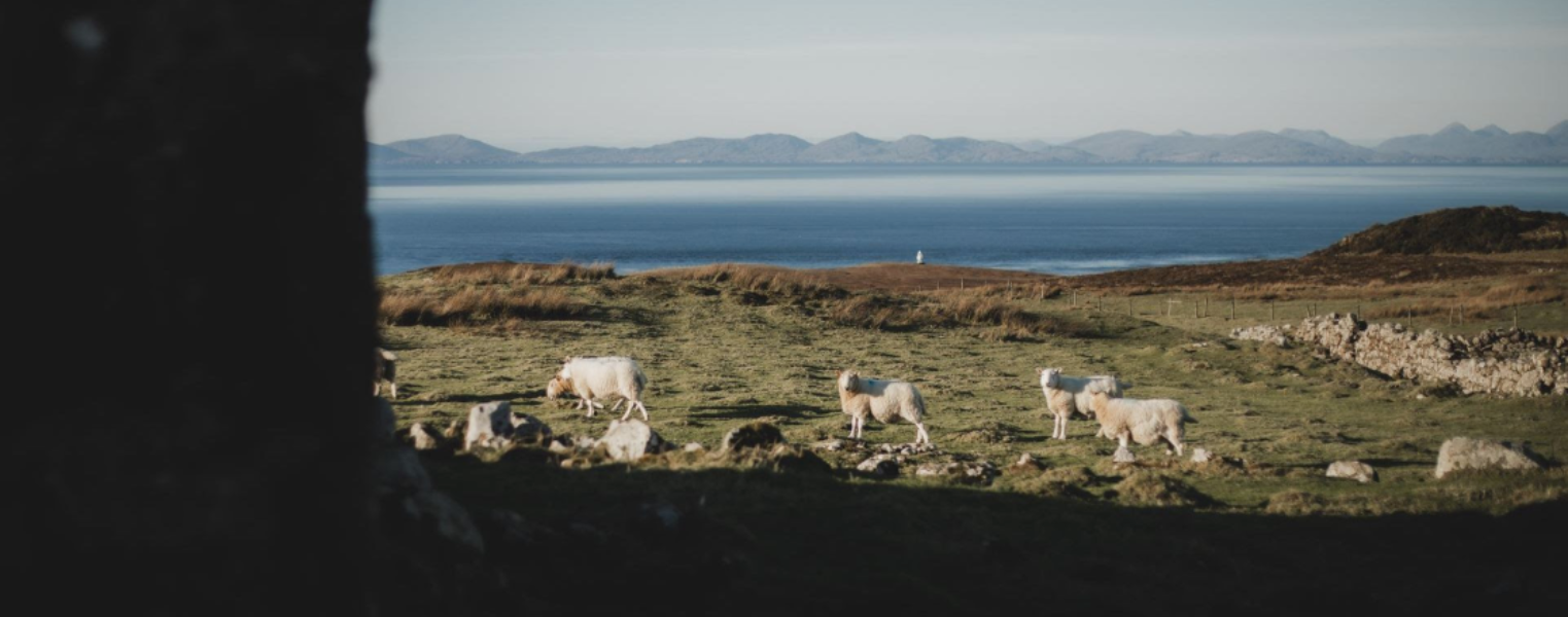 Alban Eilir: Celebrating spring equinox on the Isle of Skye – Òr
