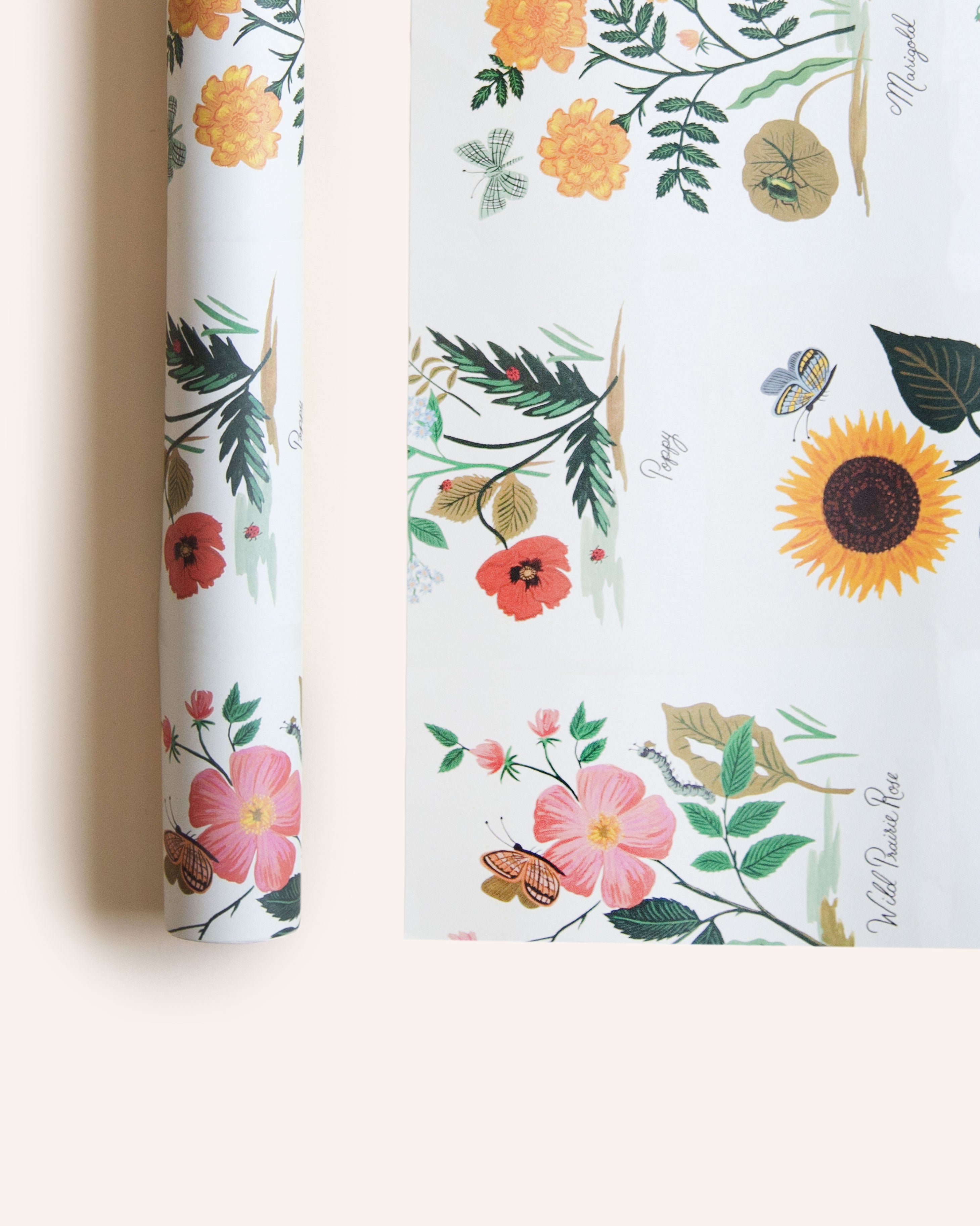 Botanical Gift Wrap – Òr