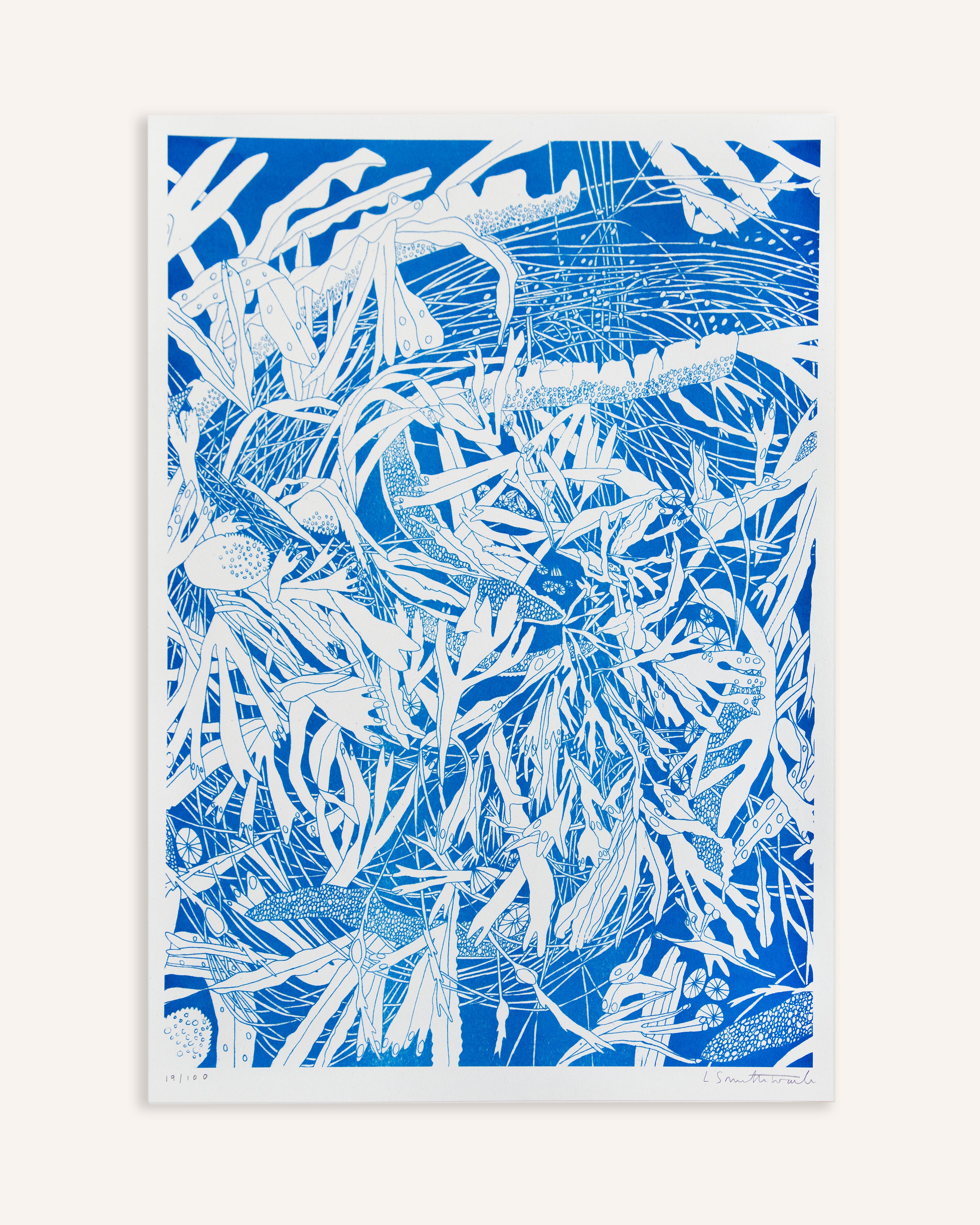 Seaweed Screen Print – Òr
